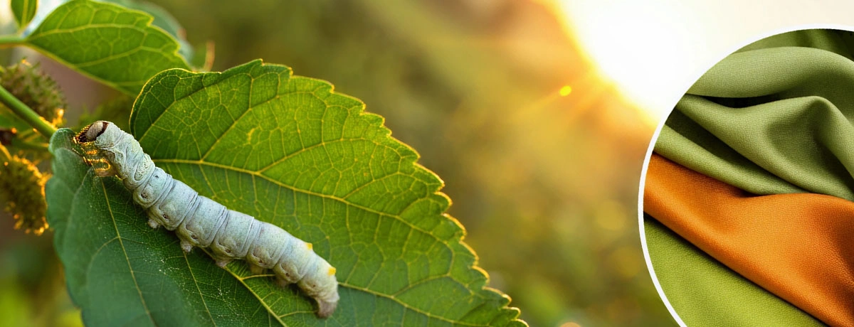 Is Silk Vegan? Understanding Its Ethical Implications for Vegans