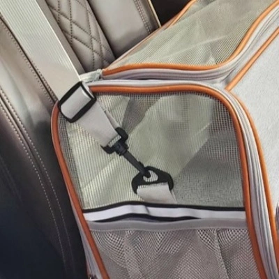 Bag Accessories / Luggage Accessories for Wholesale Orders | MH