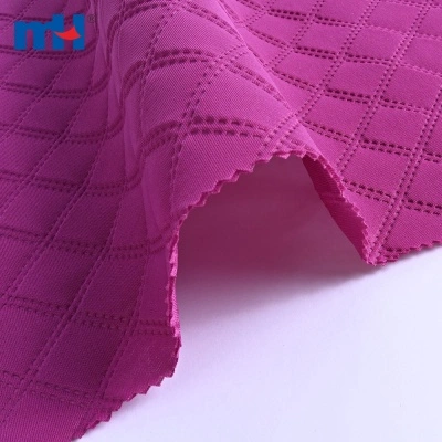 Polyester Interlock Knit Fabric, Bird Eye Mesh Sportswear Fabric