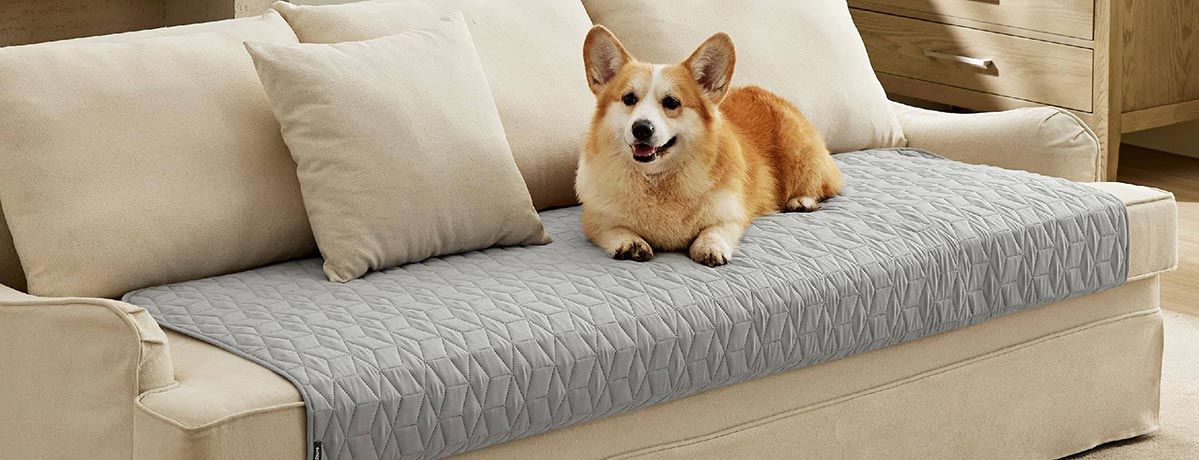 Top Couch Protector Options to Keep Your Furniture Safe and Clean